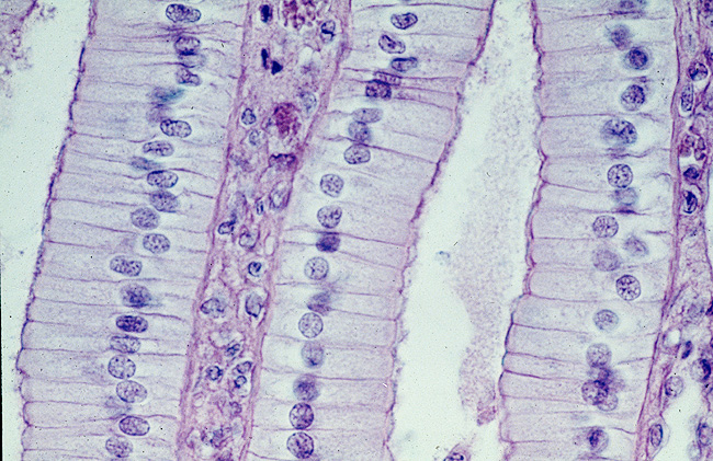 New Page 1 [www.galeps.org]